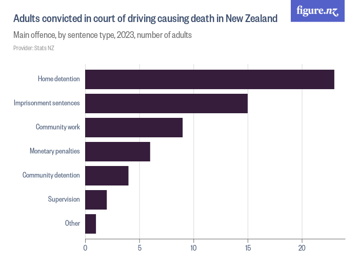 Adults convicted in court of driving causing death in New Zealand ...