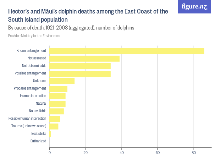 Hector’s and Māui’s dolphin deaths among the East Coast of the South ...