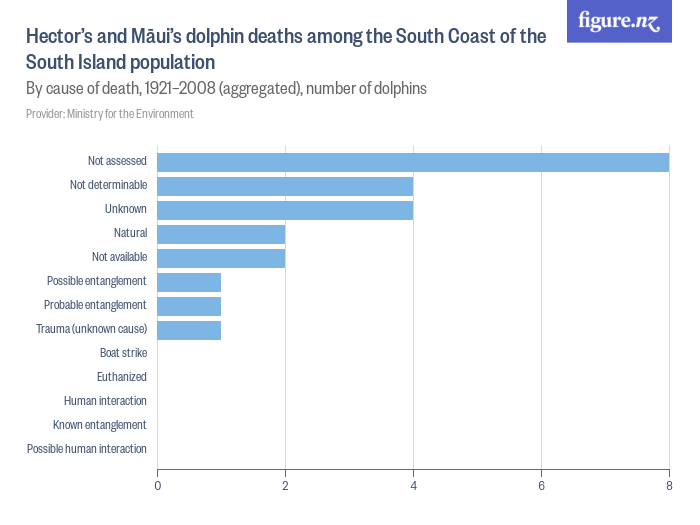 Search for "Dolphins" - Figure.NZ