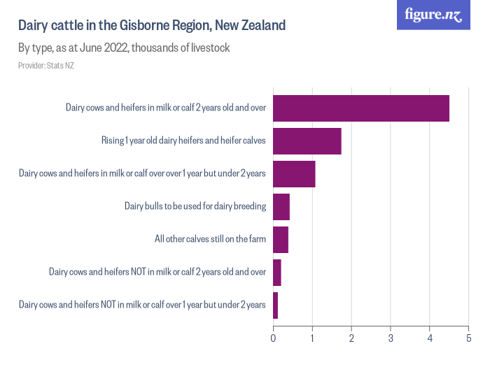Dairy cattle in the Gisborne Region, New Zealand - Figure.NZ