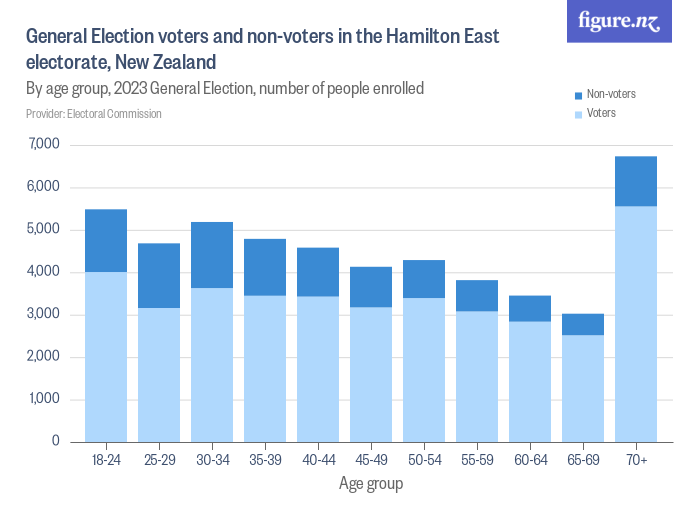 General Election voters and non-voters in the Hamilton East electorate ...