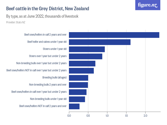 Beef cattle in the Grey District, New Zealand - Figure.NZ