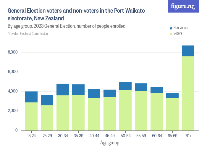 General Election voters and non-voters in the Port Waikato electorate ...