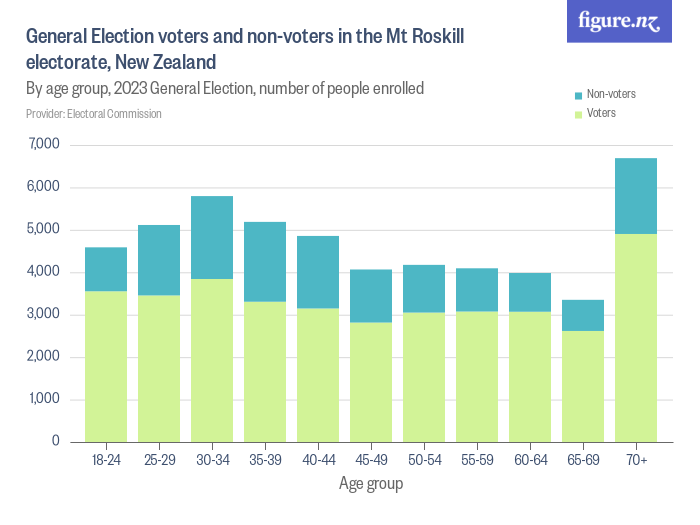 General Election voters and non-voters in the Mt Roskill electorate ...