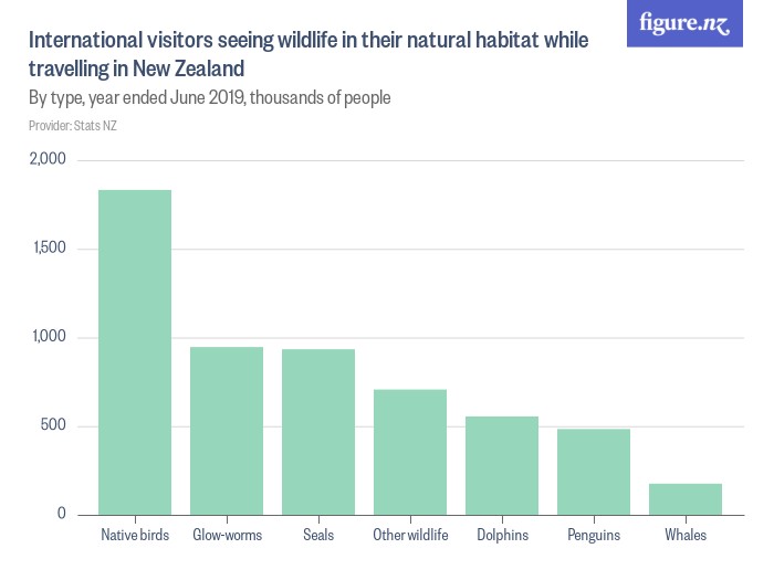 Search for "Wildlife" - Figure.NZ