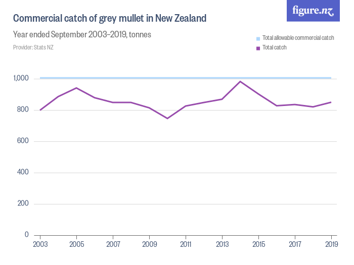 Commercial catch of grey mullet in New Zealand - Figure.NZ