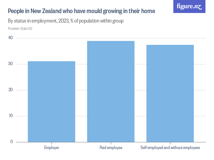 people-in-new-zealand-who-have-mould-growing-in-their-home-figure-nz