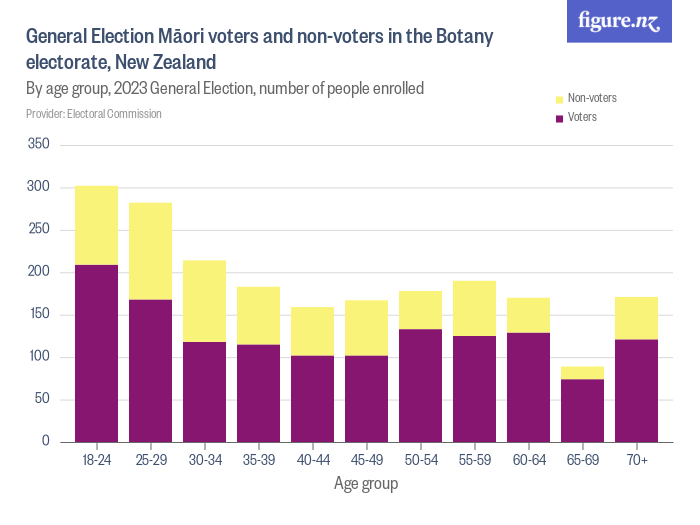 General Election Māori voters and non-voters in the Botany electorate ...